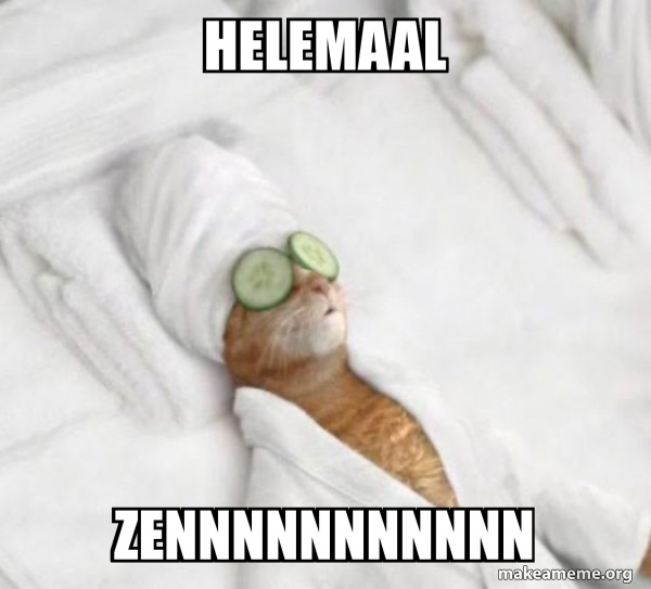 Helemaal Zennnnnnnnnnn - Pampered Cat Meme Meme Generator