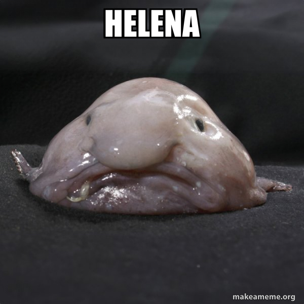 helena - Blobfish Meme Generator