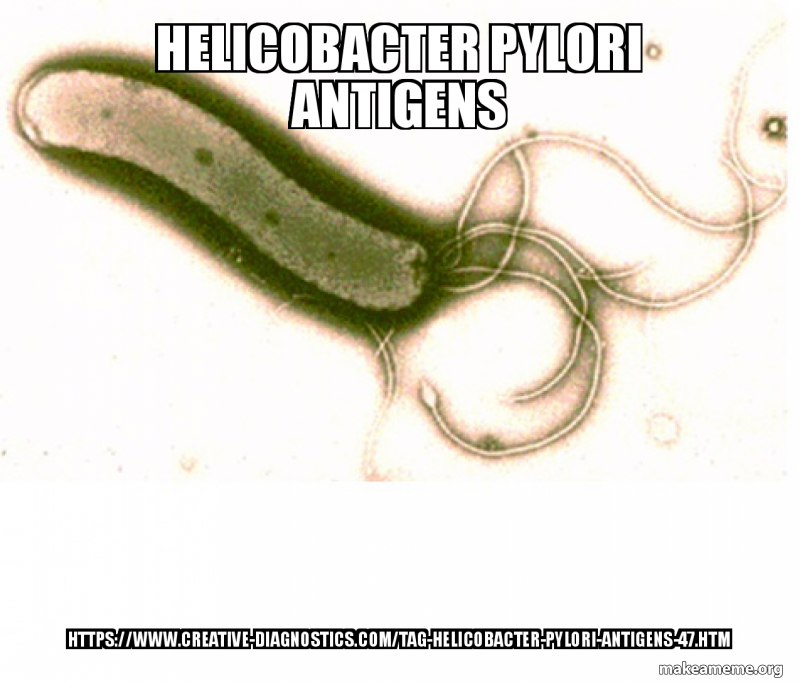 Helicobacter pylori Antigens https://www.creative-diagnostics.com/tag ...