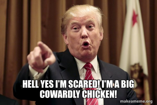 hell yes i'm scared! I'm a big cowardly chicken! - Donald Trump Says ...