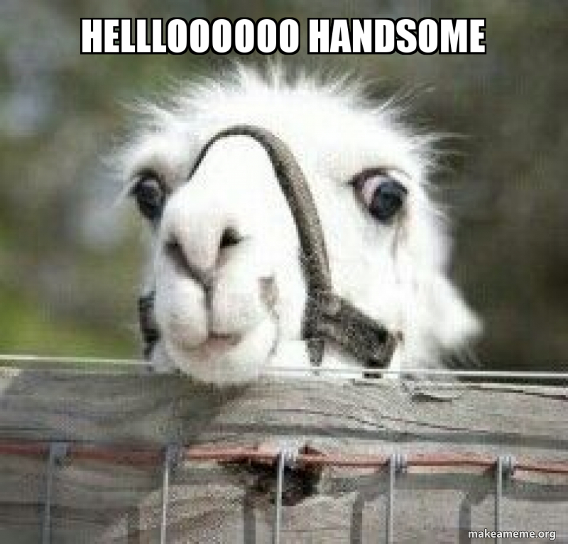 Hellloooooo handsome Meme Generator