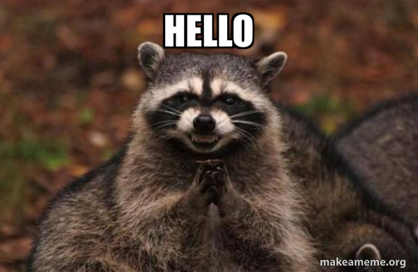 Hello - Evil Plotting Raccoon Meme Generator