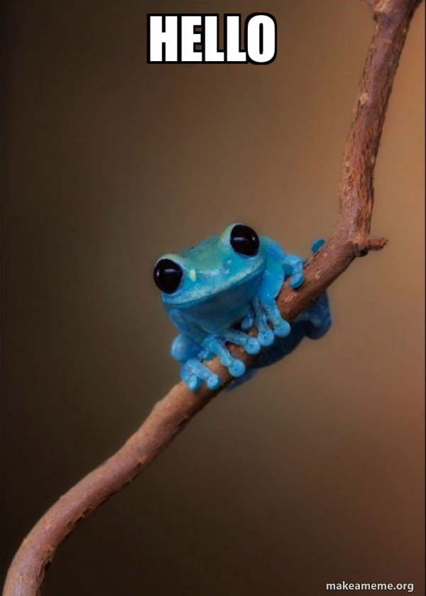 hello - Small Fact Frog Meme Generator