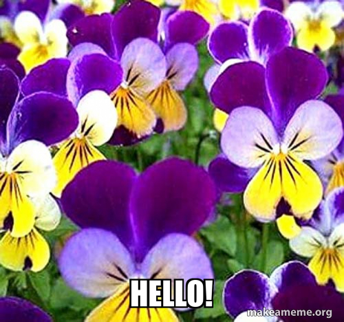 HELLO! Meme Generator