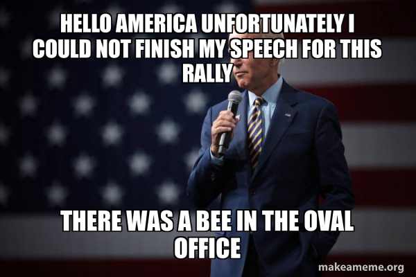 Hello America unfortunately I could not finish my speech for this rally ...