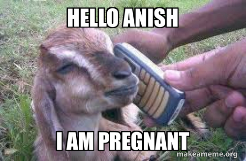 Hello anish I am pregnant Meme Generator