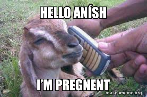 Hello Anísh I’m pregnent Meme Generator