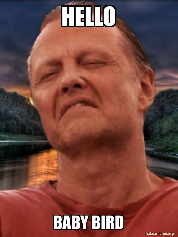 Hello Baby bird Meme Generator