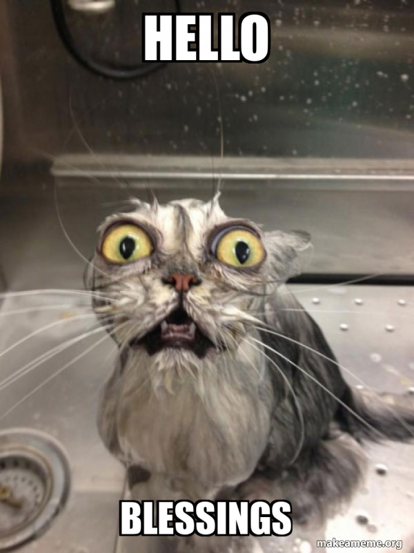hello blessings - Cat bath Meme Generator