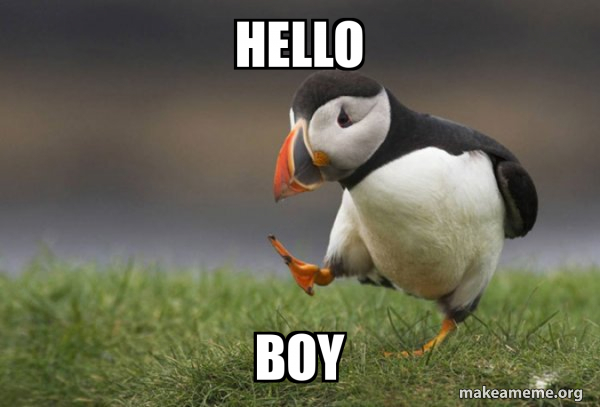 hello boy - Unpopular Opinion Puffin Meme Generator