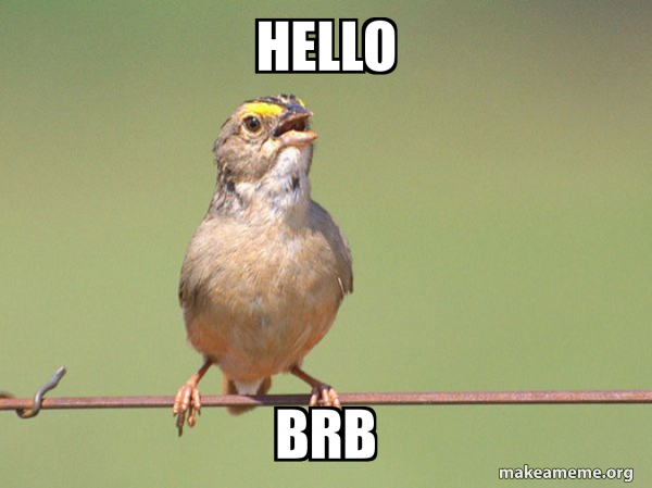 HELLO BRB - Common Opinion Sparrow Meme Generator