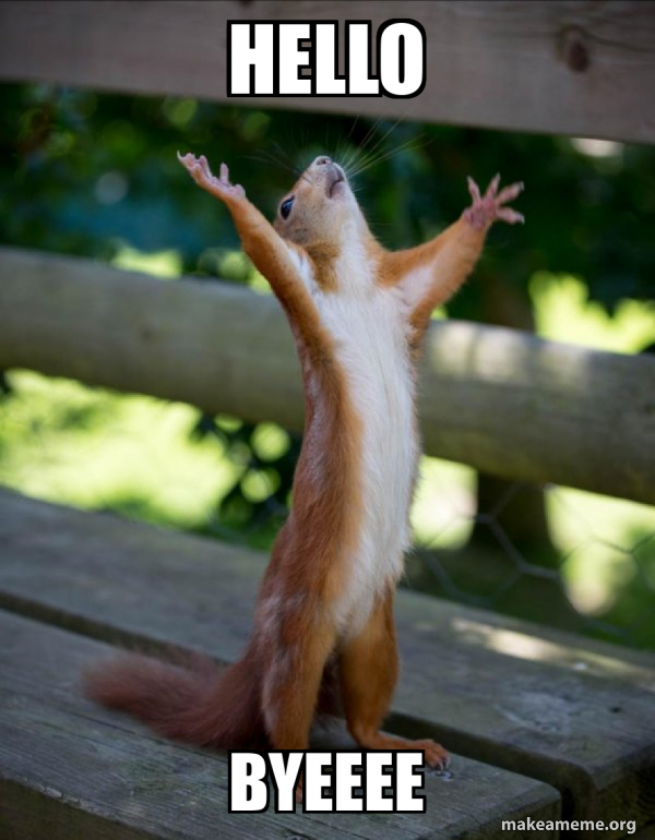 hello byeeee - Happy Squirrel Meme Generator