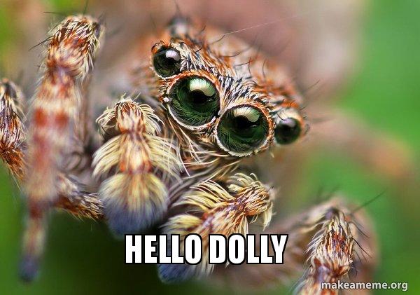 Hello Dolly - Hipster Spider Meme Generator