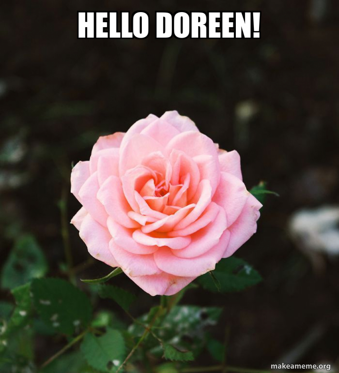 hello doreen! Meme Generator