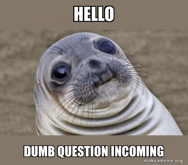 Hello Dumb Question Incoming - Squeamish Seal Meme Generator