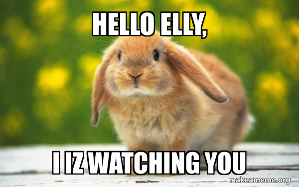 Hello Elly, I iz watching you - Regretful Rabbit Meme Generator