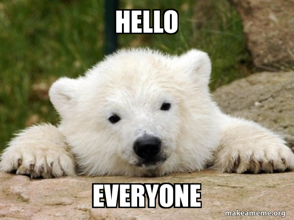 hello everyone - Popular Opinion Bear Meme Generator
