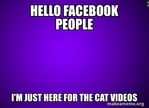 Hello Facebook people I'm just here for the cat videos Meme Generator