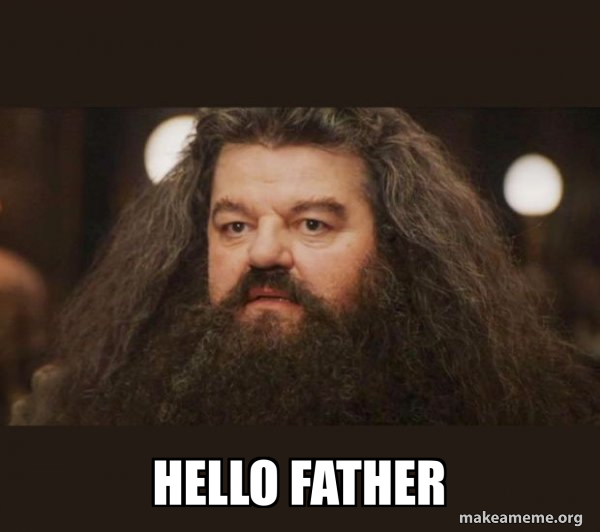 hello father - Hagrid - I should not have said that Meme Generator