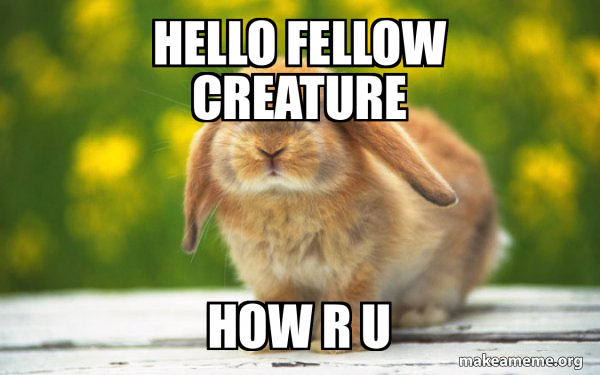 hello fellow creature how r u - Regretful Rabbit Meme Generator