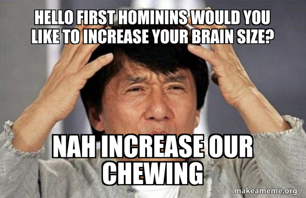 Hello First Hominins would you like to increase your brain size? Nah ...