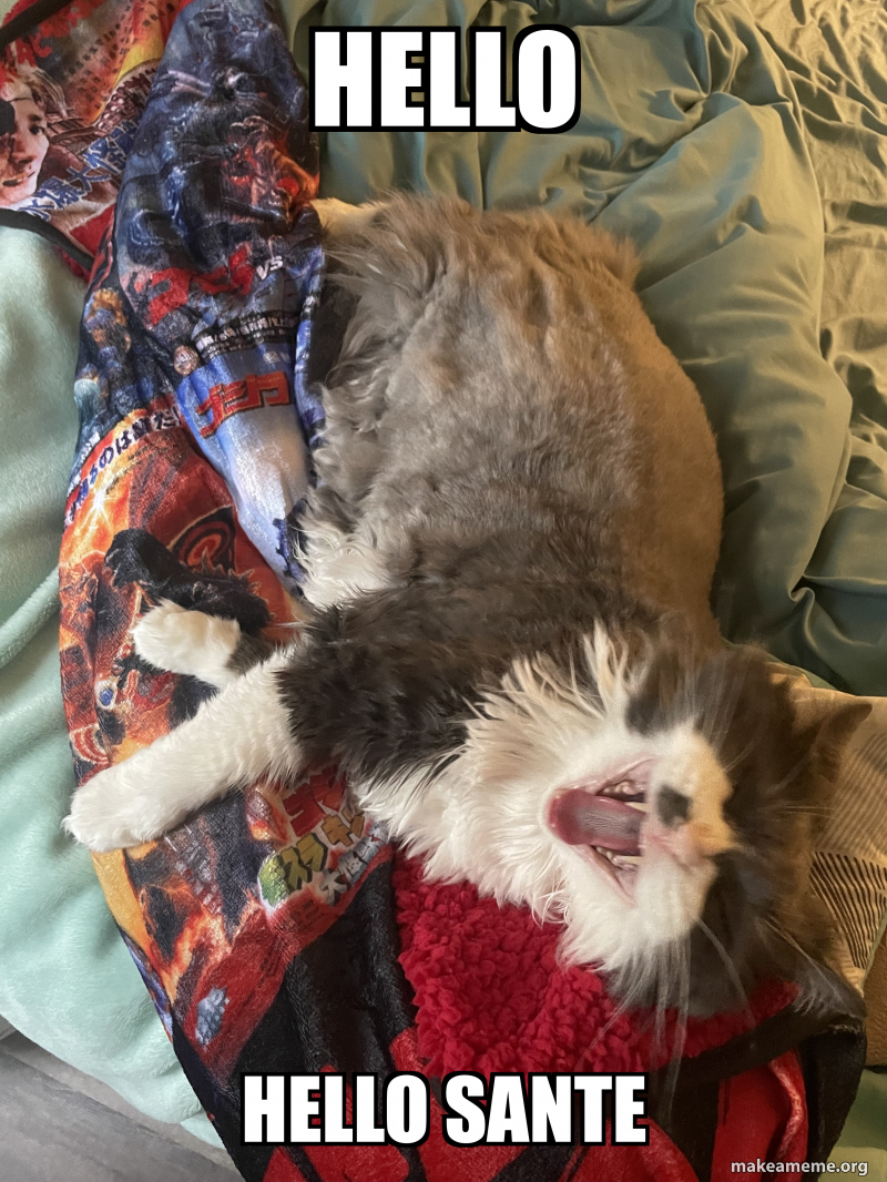 HELLO HELLO SANTE Meme Generator