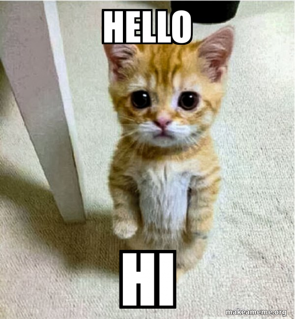 hello hi - Cute Cat Standing Meme Generator