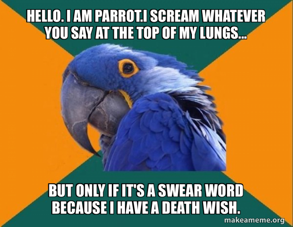 Hello. I am parrot.I scream whatever you say at the top of my lungs ...