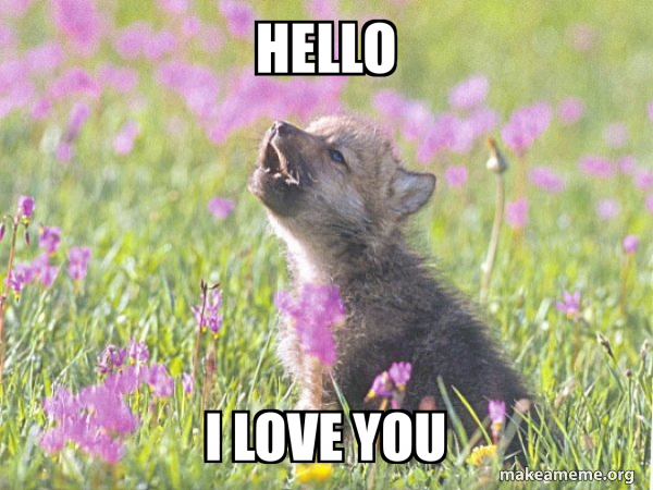 HELLO I LOVE YOU - Baby Insanity Wolf Meme Generator