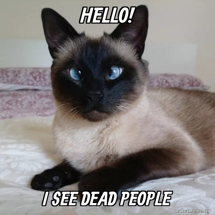 Hello! I see dead people Meme Generator