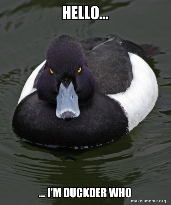 Hello... ... i'm duckder who - Revenge Duck ( Angry Advice Duck ) Meme ...