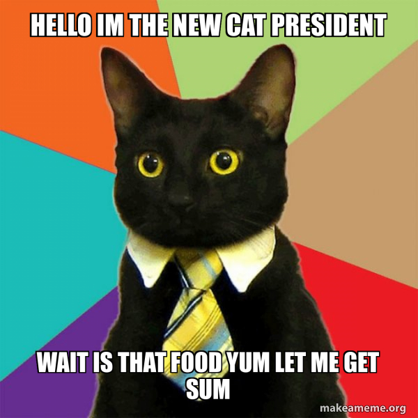 Hello im the new cat president wait is that food yum let me get sum ...