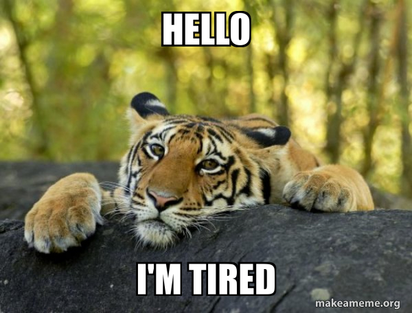 Hello I'm tired - Confession Tiger Meme Generator