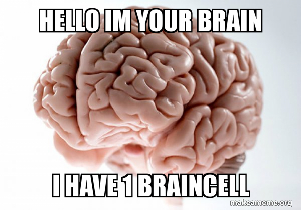 HELLO IM YOUR BRAIN I HAVE 1 BRAINCELL - Scumbag Brain Meme Generator