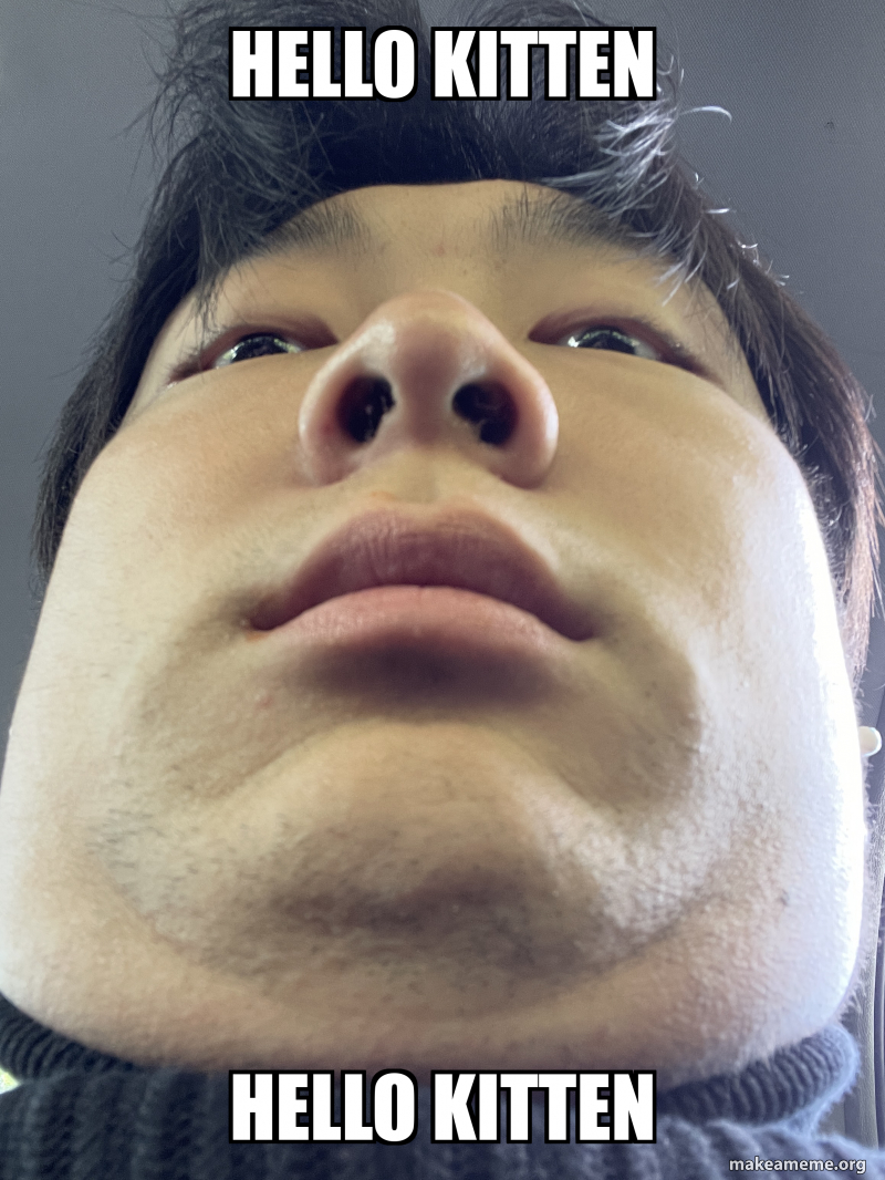 hello kitten hello kitten Meme Generator