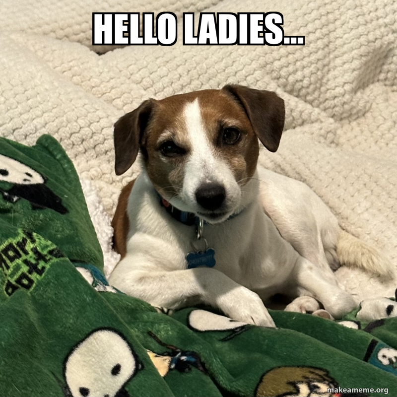 Hello ladies… Meme Generator
