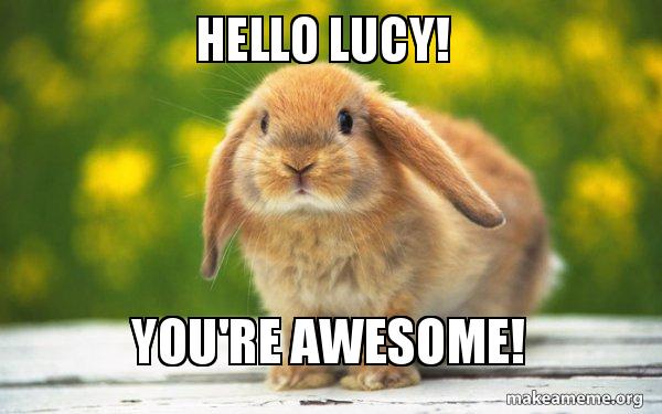 Hello Lucy! You're Awesome! - Regretful Rabbit Meme Generator