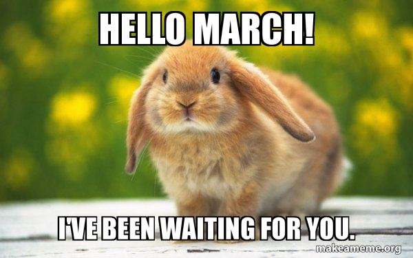 Hello March! I've been waiting for you. - Regretful Rabbit Meme Generator