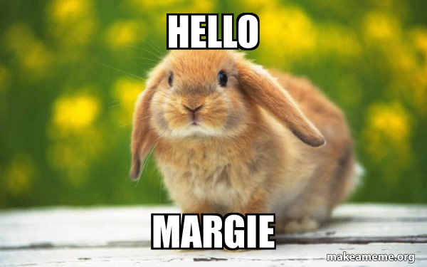 Margie Memes