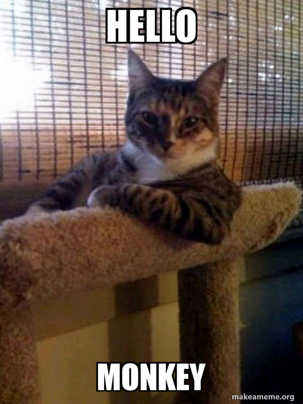 hello monkey - The Most Interesting Cat in the World Meme Generator