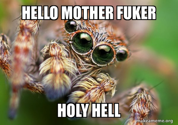 Hello mother Fuker holy hell - Hipster Spider Meme Generator