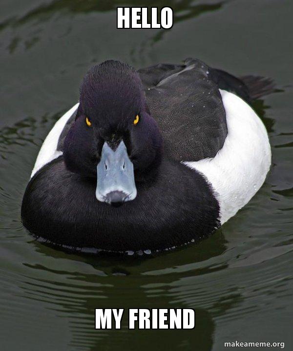 HELLO MY FRIEND - Revenge Duck ( Angry Advice Duck ) Meme Generator