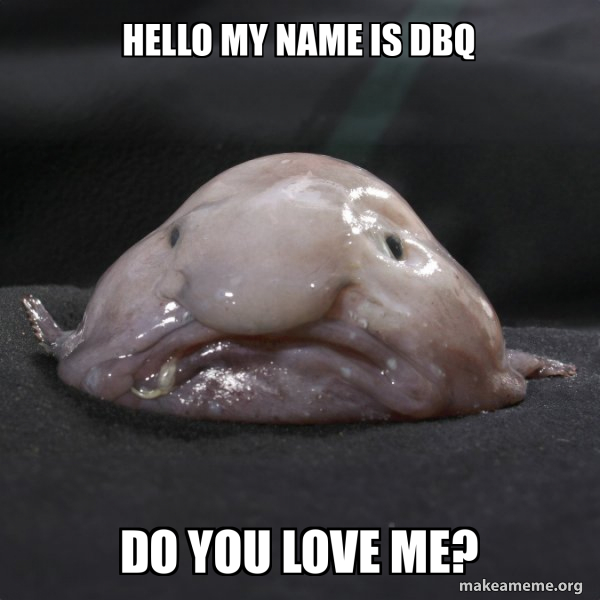Hello my name is DBQ Do you love me? - Blobfish Meme Generator