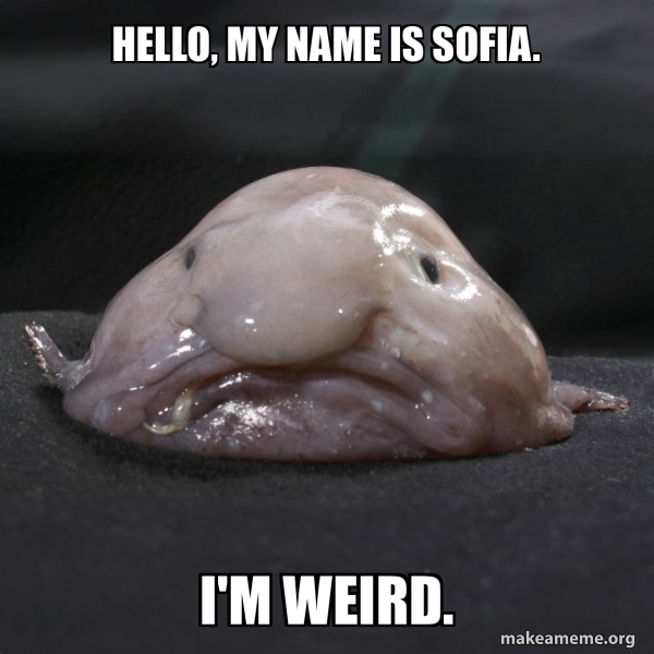 Hello, my name is Sofia. I'm weird. - Blobfish Meme Generator