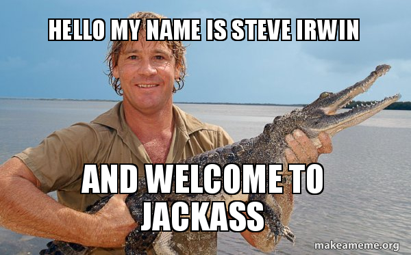 Jackass Boyfriend Memes