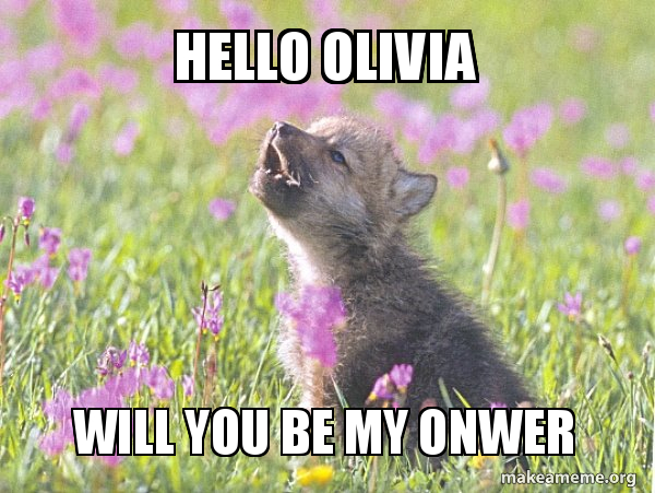 Hello Olivia Will you be my onwer - Baby Insanity Wolf Meme Generator