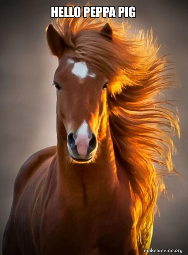 Hello peppa pig - Ridiculously photogenic horse Meme Generator