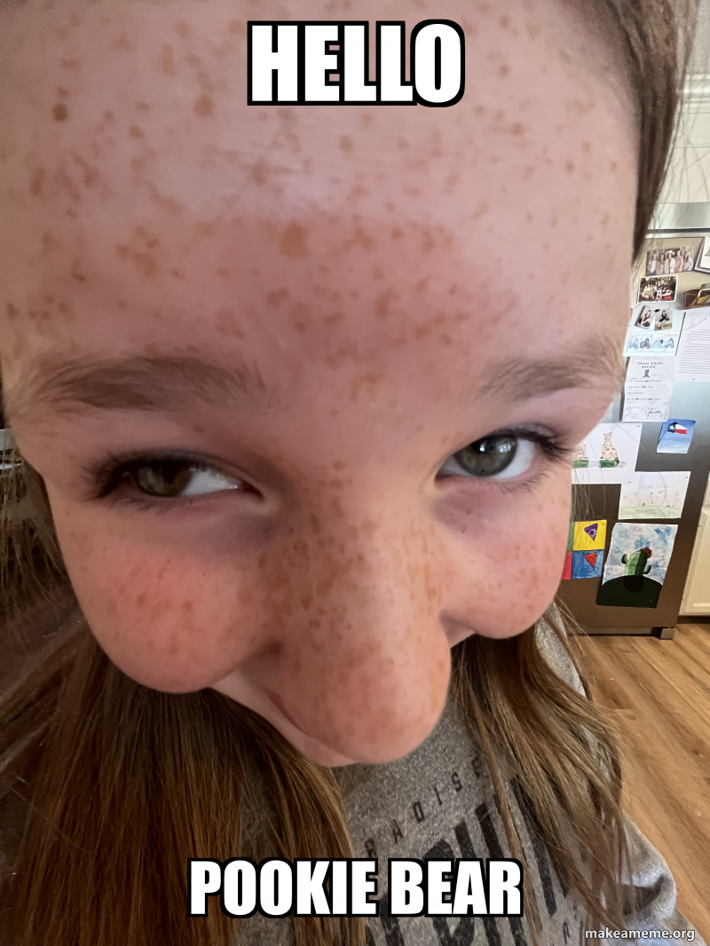 Hello Pookie bear Meme Generator