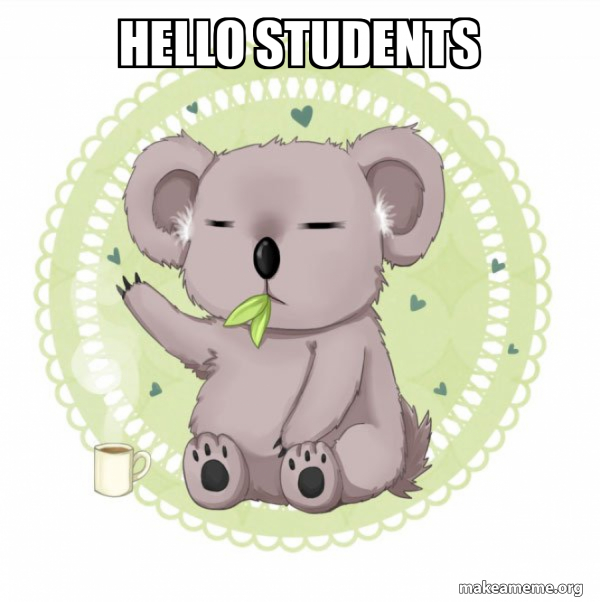 Hello Students - Aussie Koala doing the night shift Meme Generator