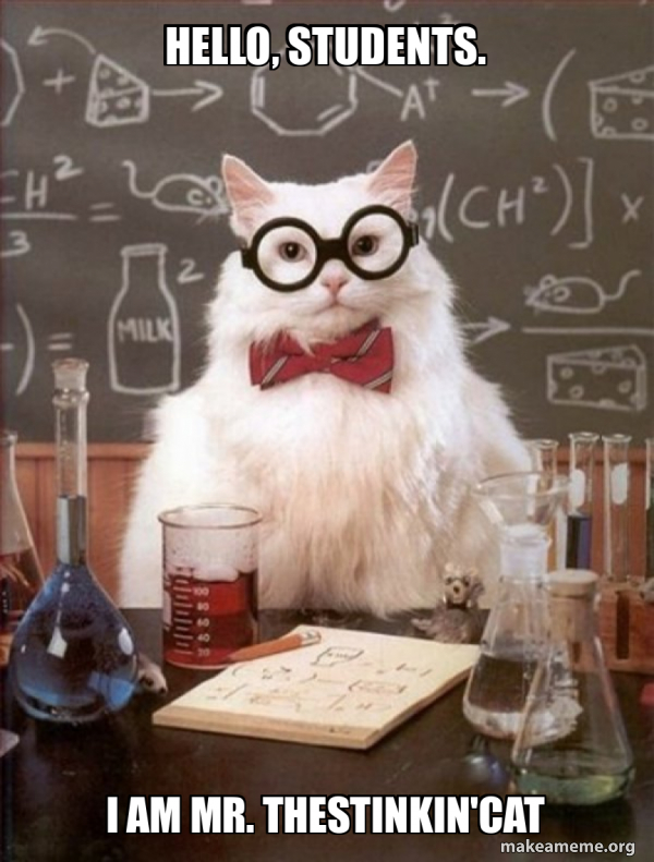Hello, students. I am Mr. TheStinkin'Cat - Chemistry Cat Meme Generator